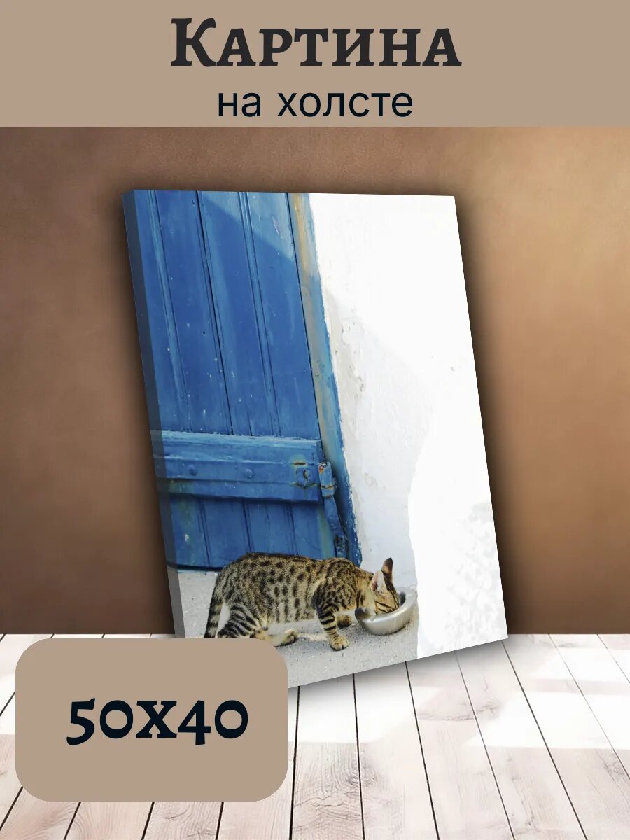 Картина Постер Кот Кошка Cat 40x50 полосатый питомец
