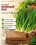 Зеленый лук 80 - 100 гр.