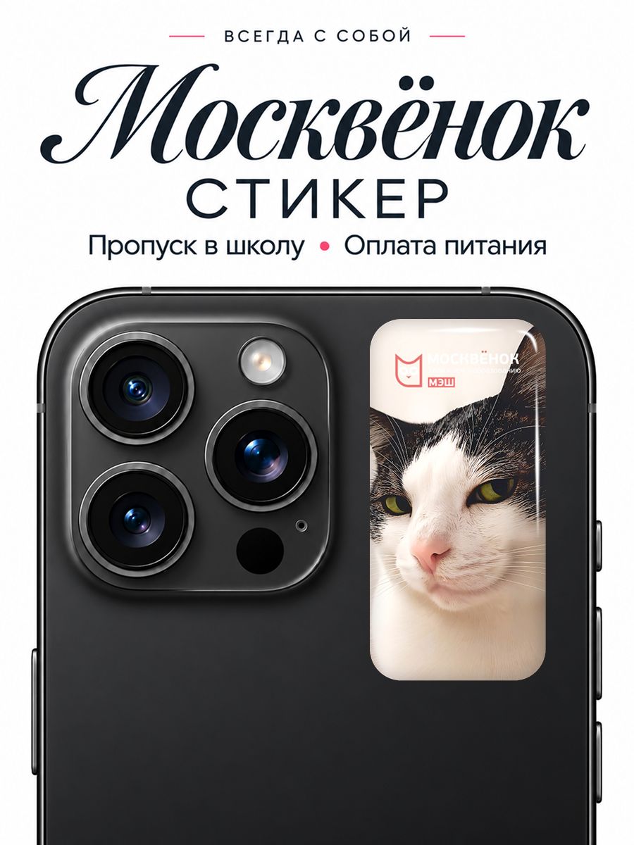 Стикер Москвёнок пропуск в школу