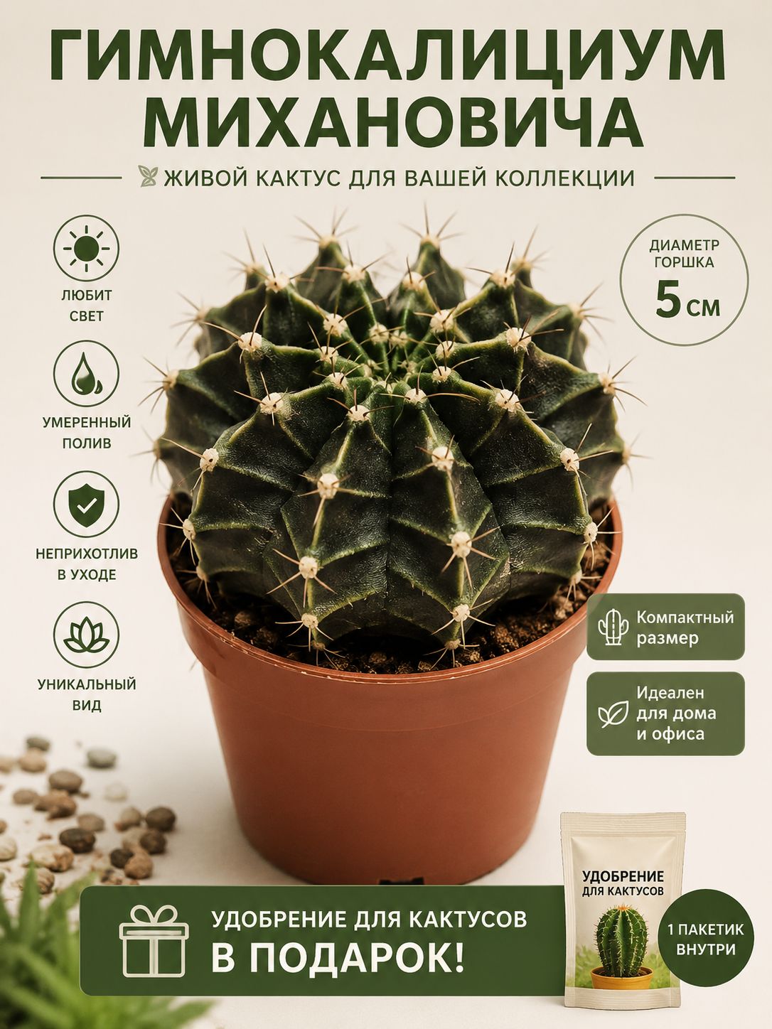 Гимнокалициум Михановича, кактус живой, D-5 и удобрение