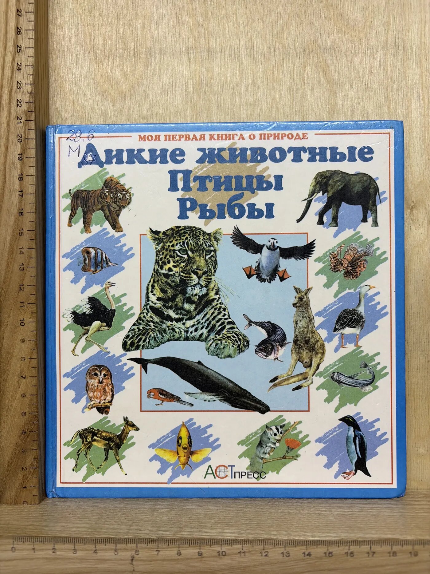 Дикие животные. Птицы. Рыбы