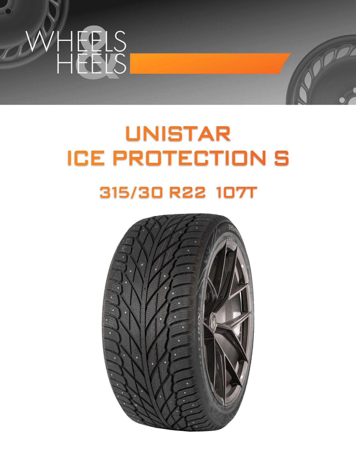 Шина автомобильная UNISTAR ICE PROTECTION S 315/30 R22 107T XL WINTER Ш, зимняя, универсальная