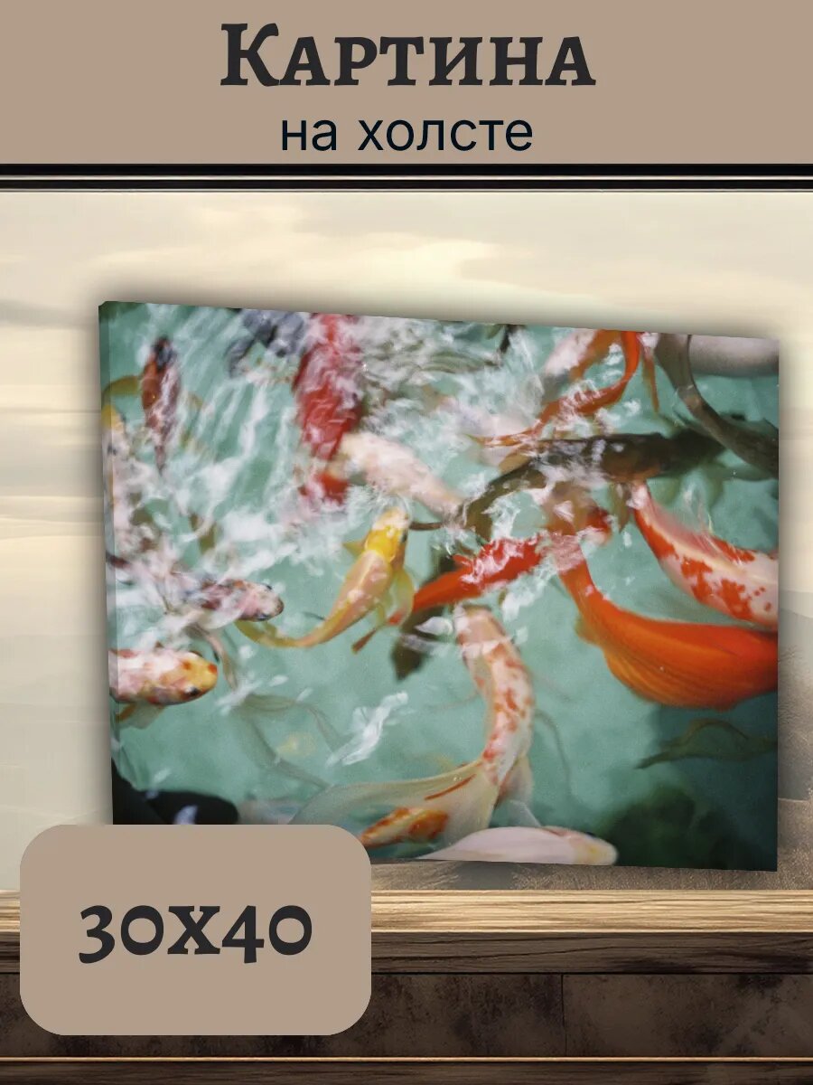 Картина Постер Китай China 30x40 карп кои