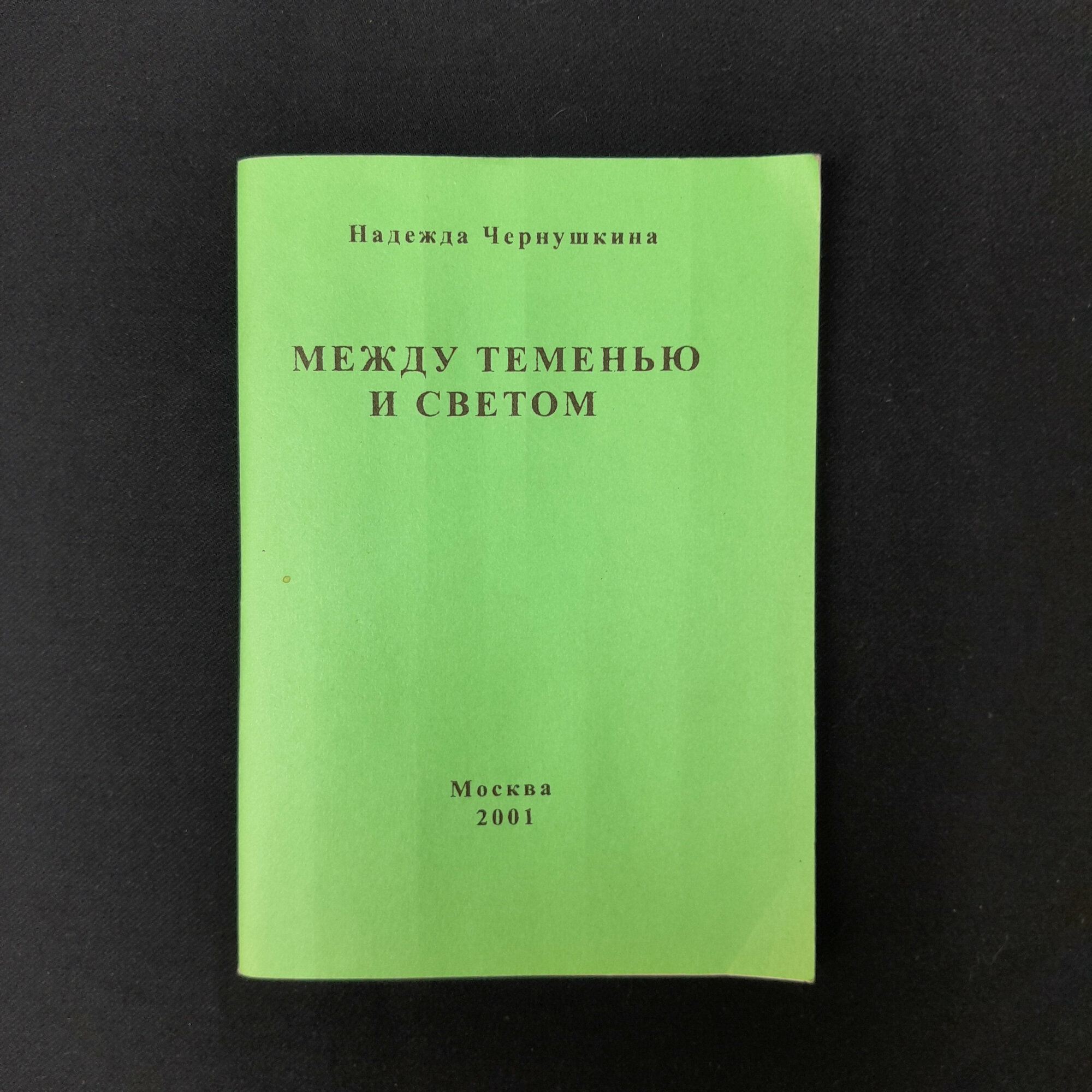 Надежда Чернушкина. Между теменью и светом. Книга, стихи