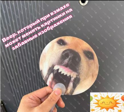 Прикольный веер с злой собакой и рыжим котом, смешной дизайн для вечеринок 2 штуки