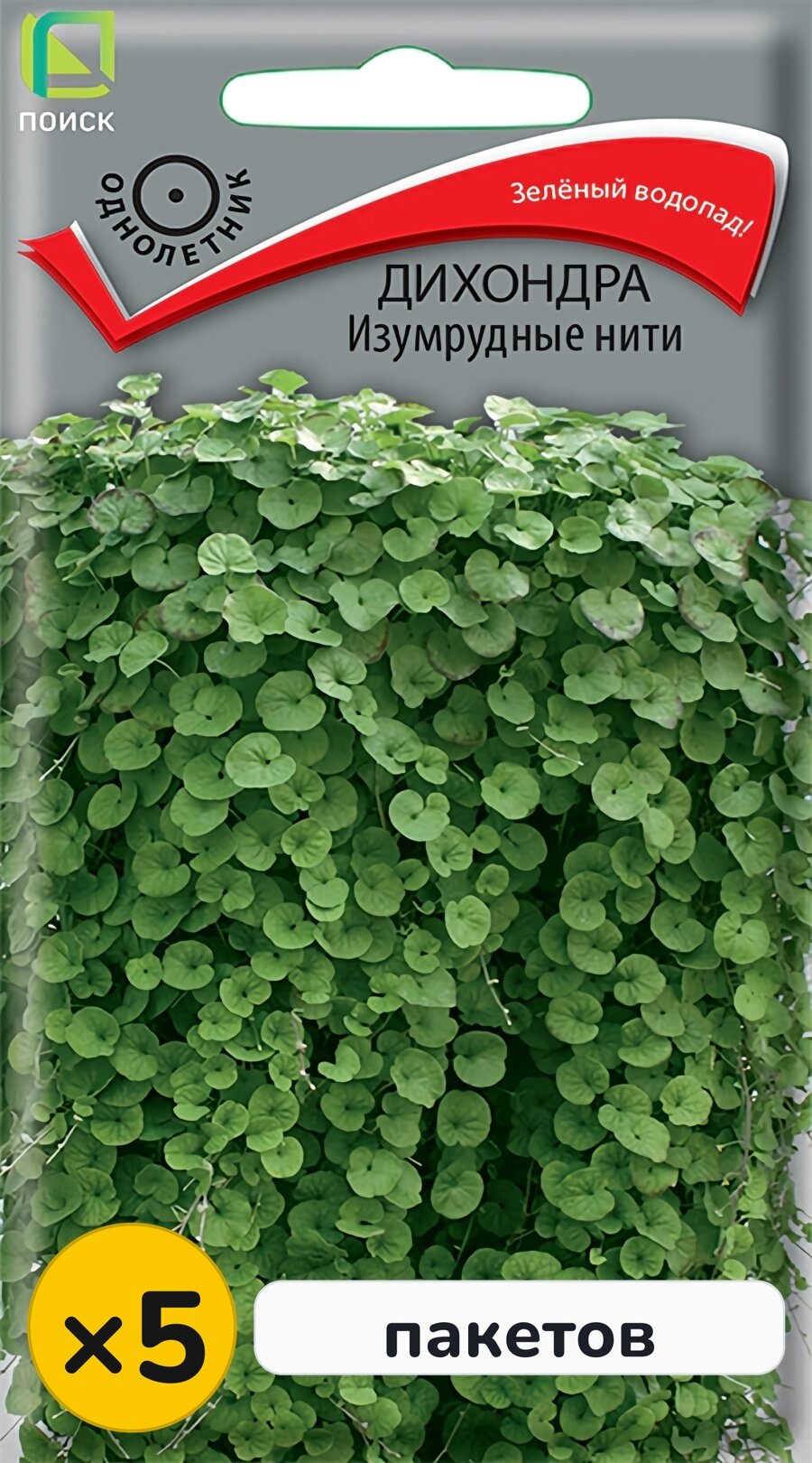 Семена дихондры Изумрудные нити, 5 шт, 5 пакетов, поиск, однолетник, высота до 120 см, посев на рассаду в январе–марте