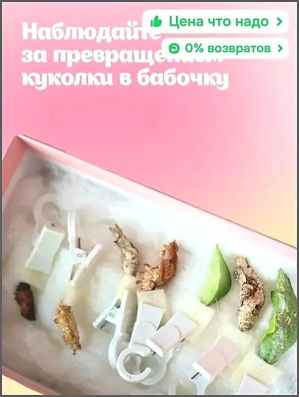 Ферма бабочек — фото 1