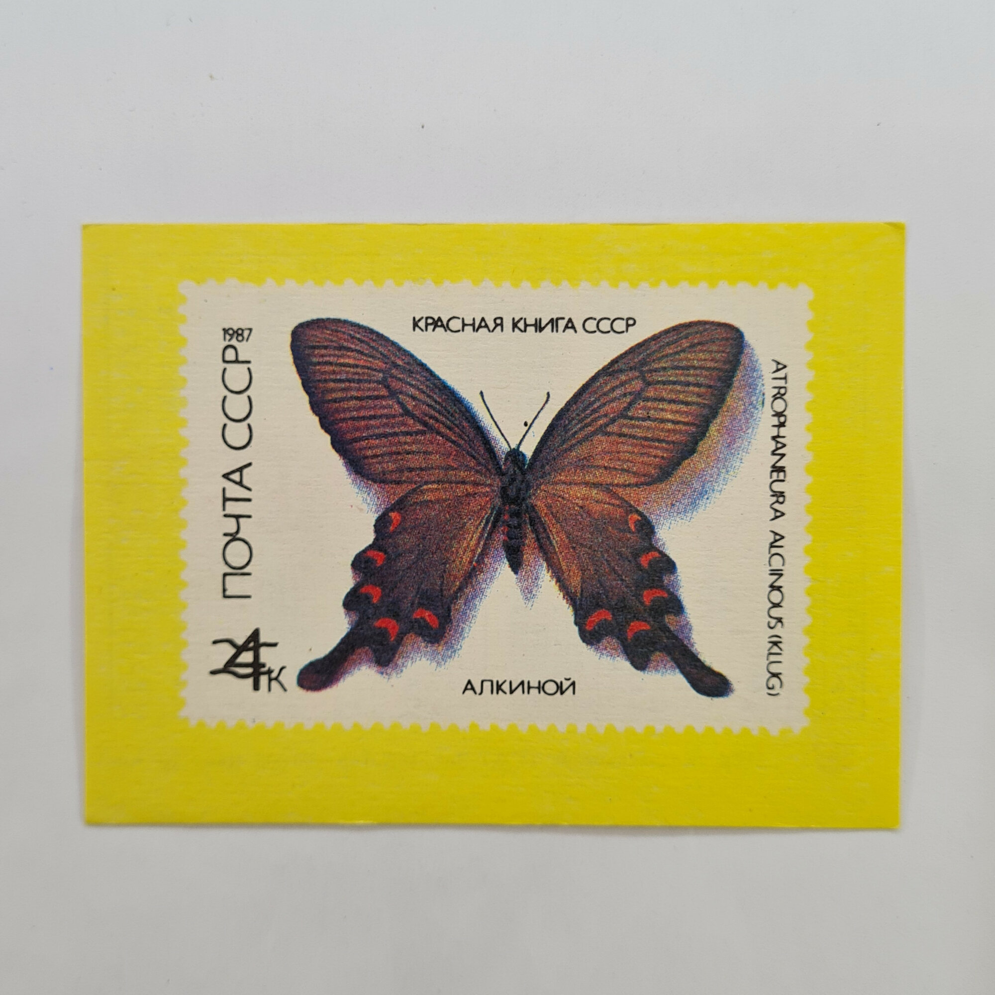 Карманный календарик 1991. Птицы, бабочка Алкиной, коллекционируйте почтовые марки! Календарь винтаж
