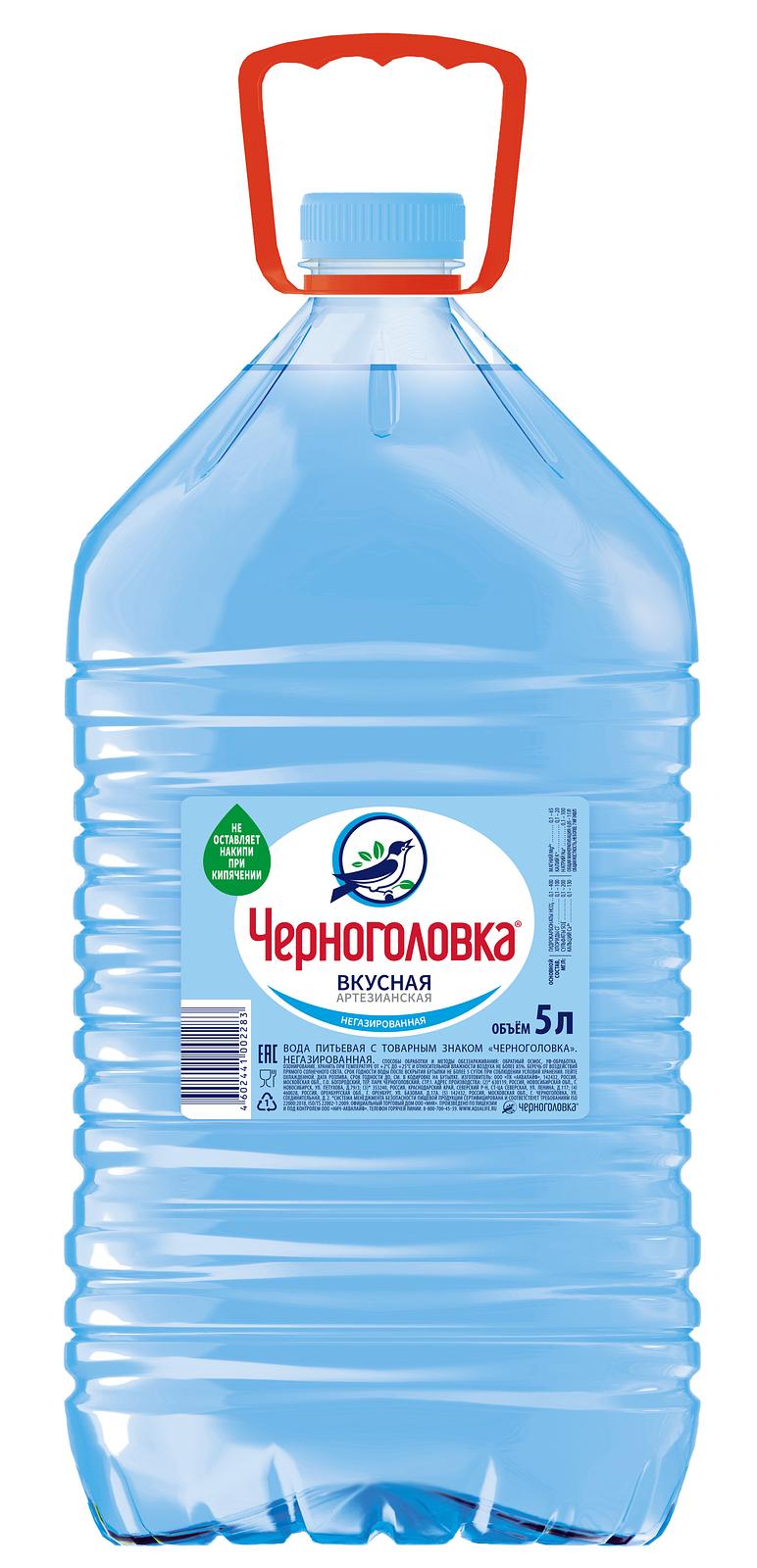 Упаковка из 2 штук Питьевая вода «Черноголовка» негазированная 5л