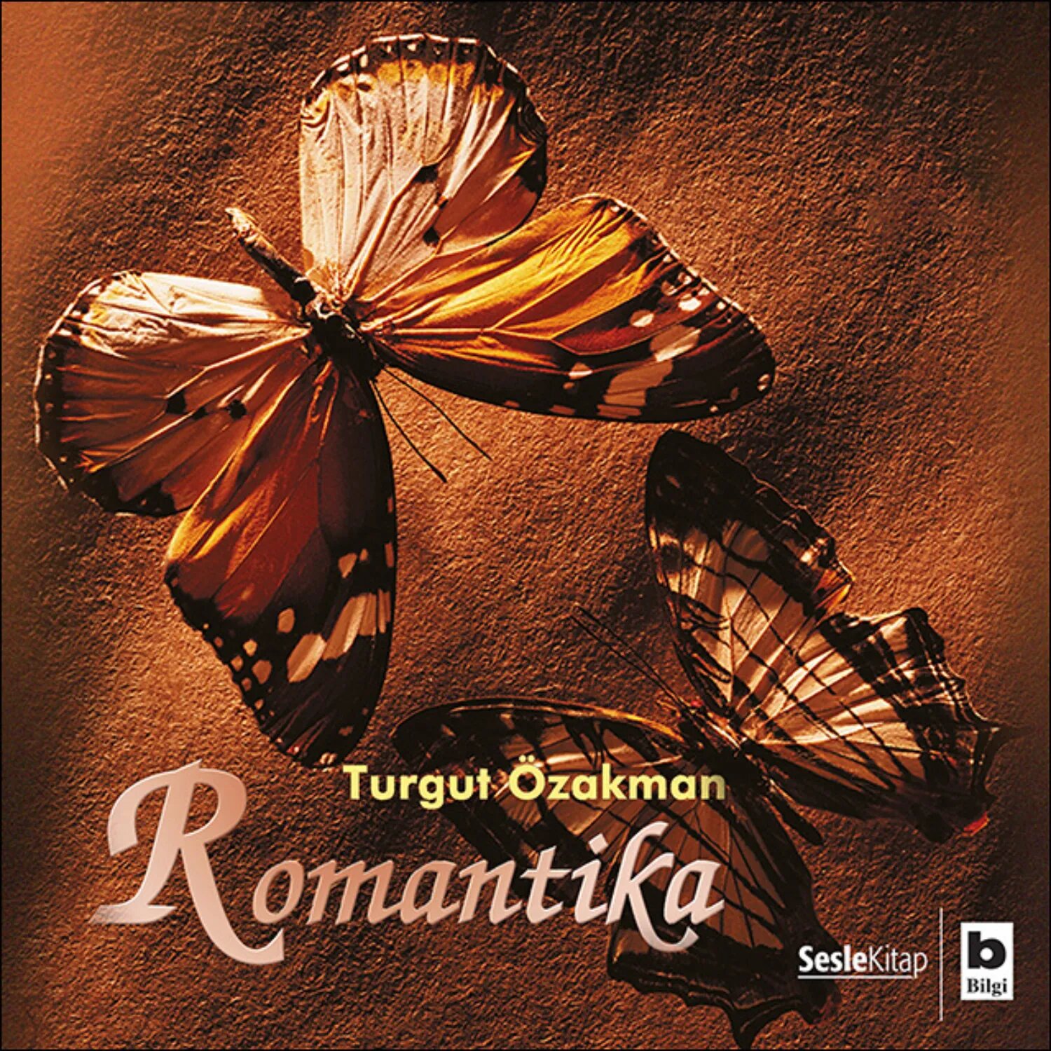 Romantika [Аудиокнига]