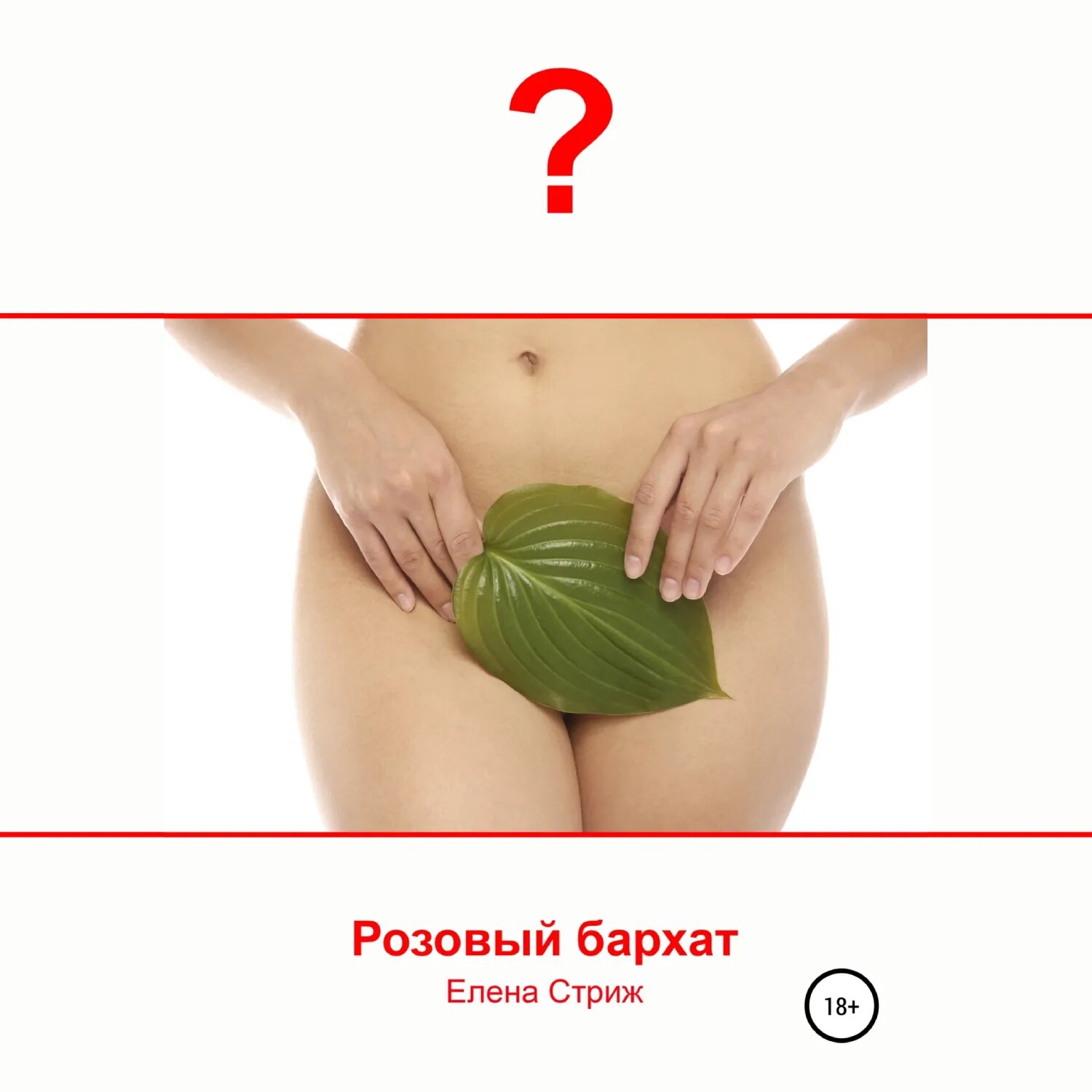 Розовый бархат [Аудиокнига]