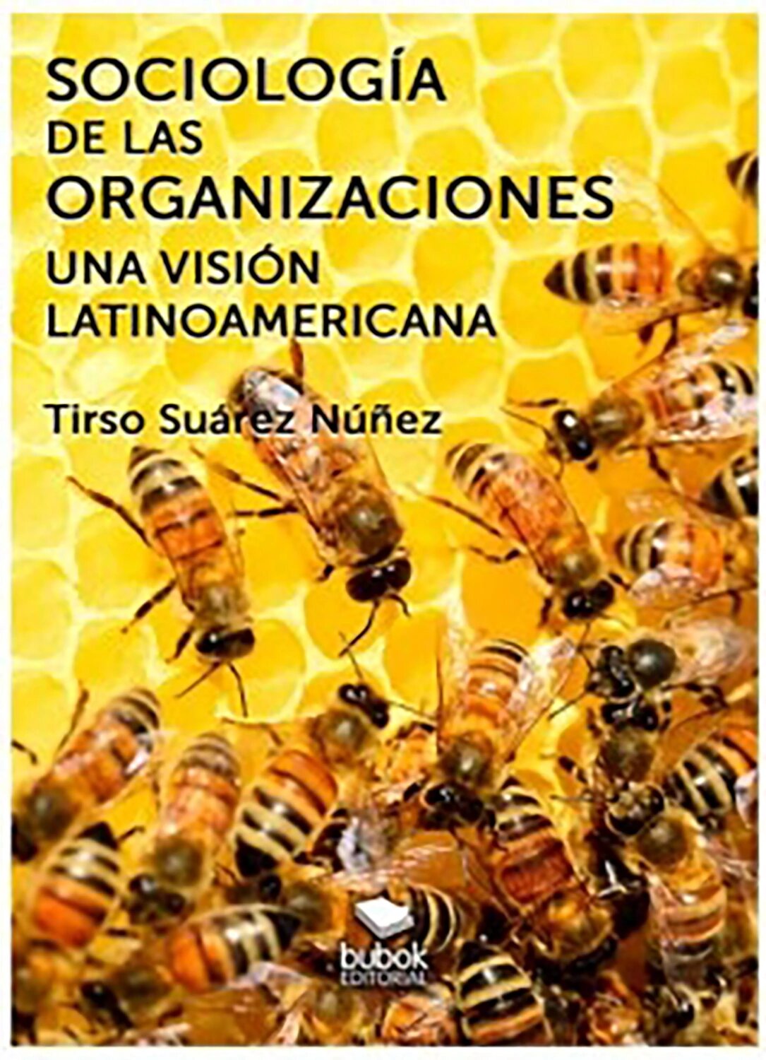 Sociología de las organizaciones - Una visión latinoamericana [Цифровая книга]