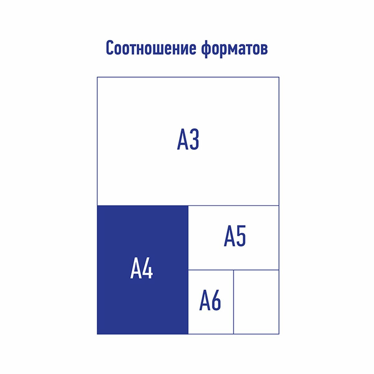 Папка на 4-х кольцах Berlingo DoubleBlack (А4, корешок 24мм, 600мкм) черная с рисунком (RB4_4D701), 24шт.