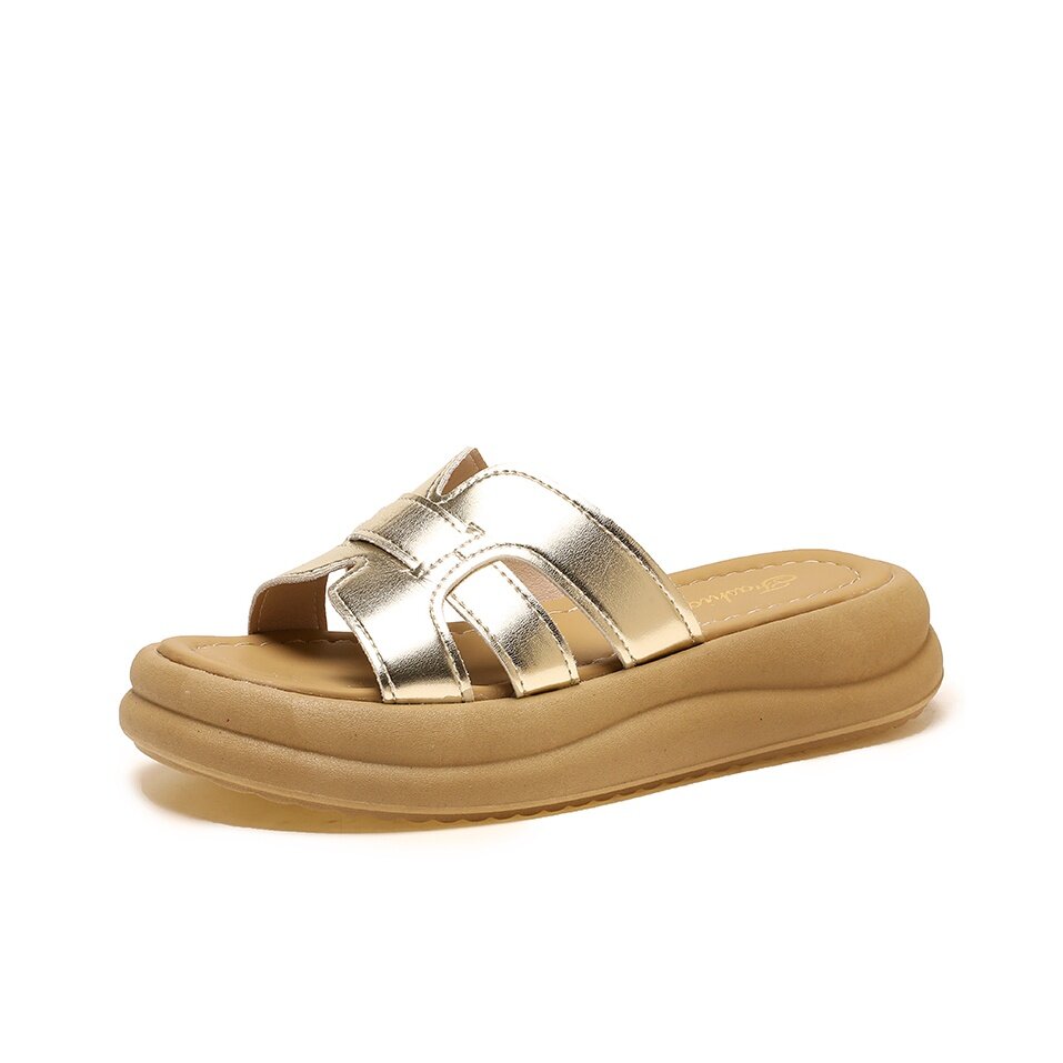 Сланцы