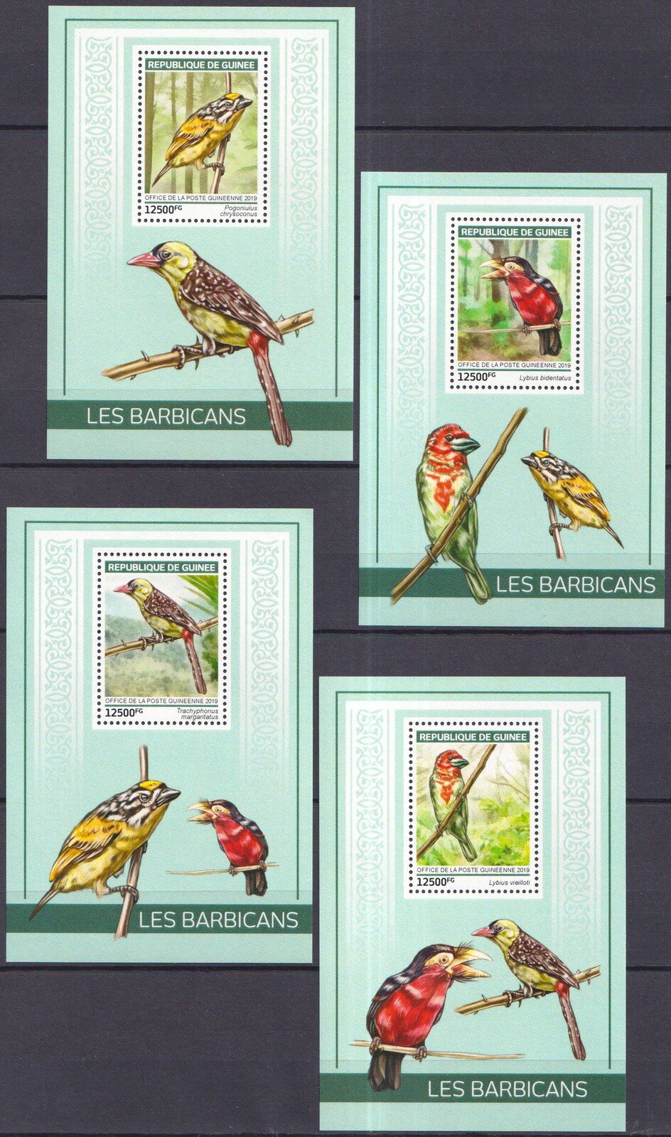 Марки 2019 год Гвинея Бородастики Птицы Фауна #13556-13559 ! 4 Блока Mnh