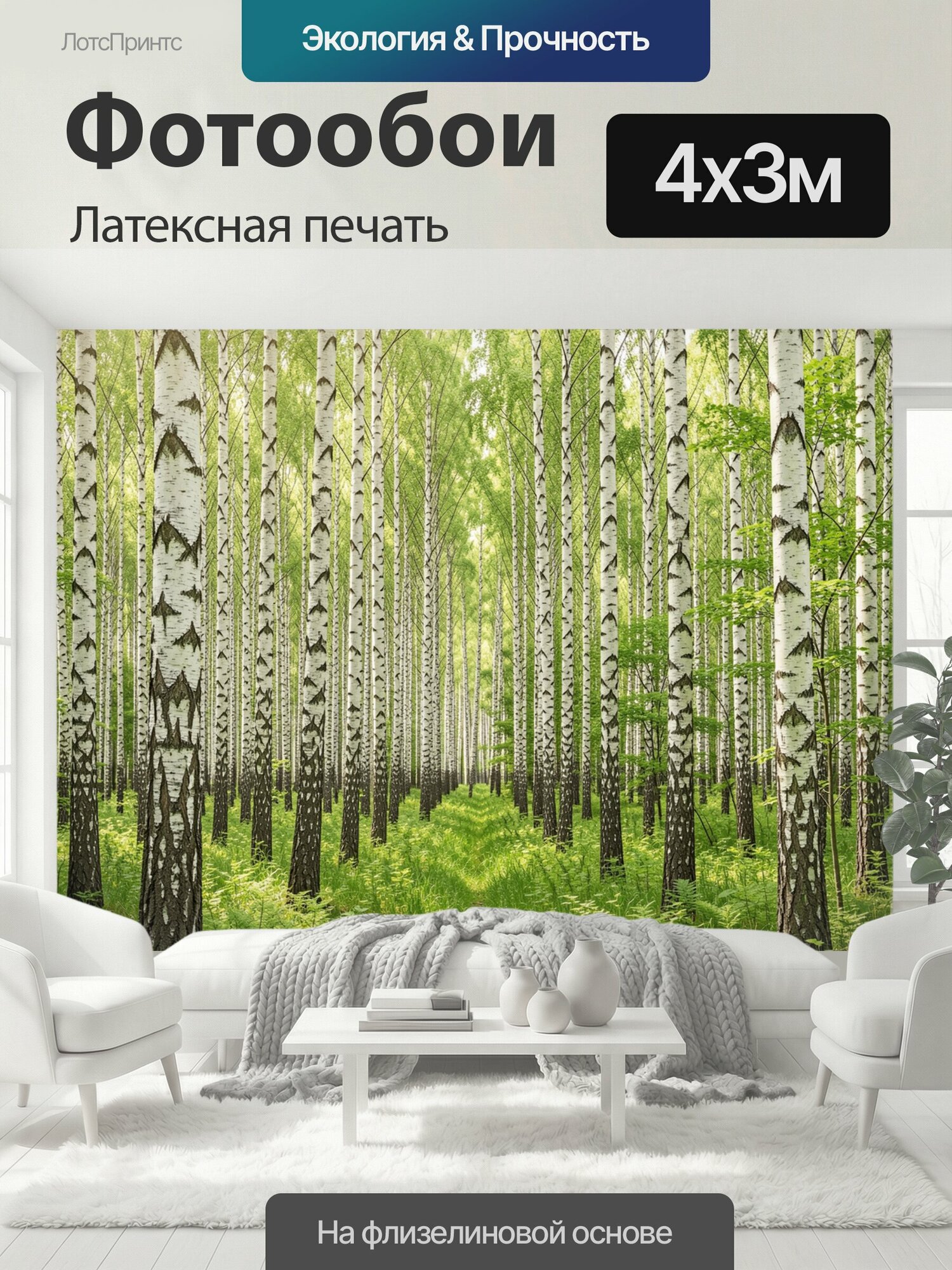 Фотообои моющиеся ударопрочные "Березовая роща с зеленой тропой. Светлый лесной пейзаж с высокими белоствольными деревьями, молодой травой и." 400x300 см. латексная печать