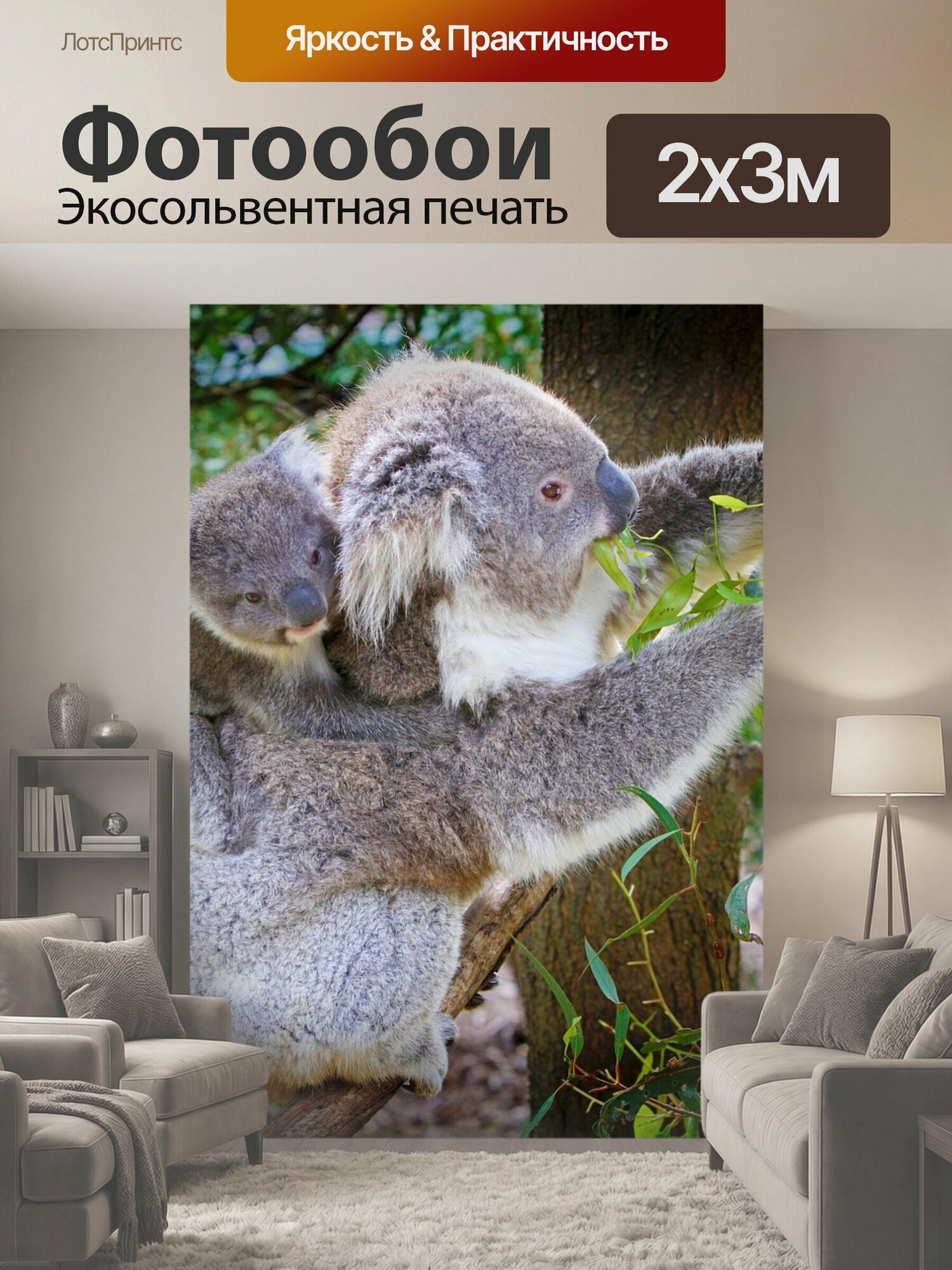 Фотообои "Коала, австралия, животное" 200x300 см. экосольвентная печать