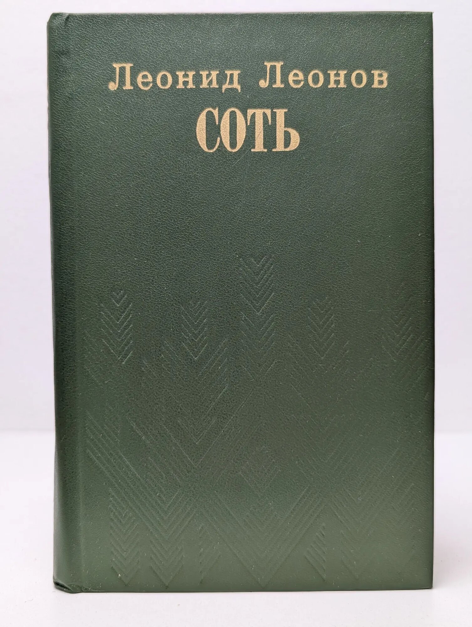 Соть Леонов Леонид Максимович 1981