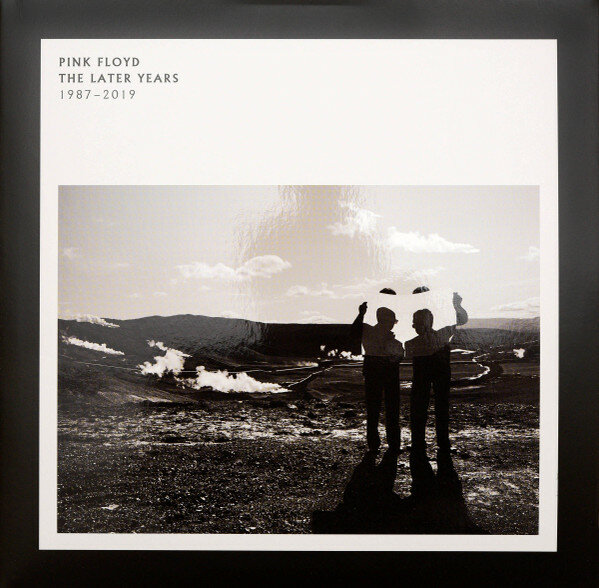 Pink Floyd. The Later Years 1987-2019 (виниловая пластинка) 2LP