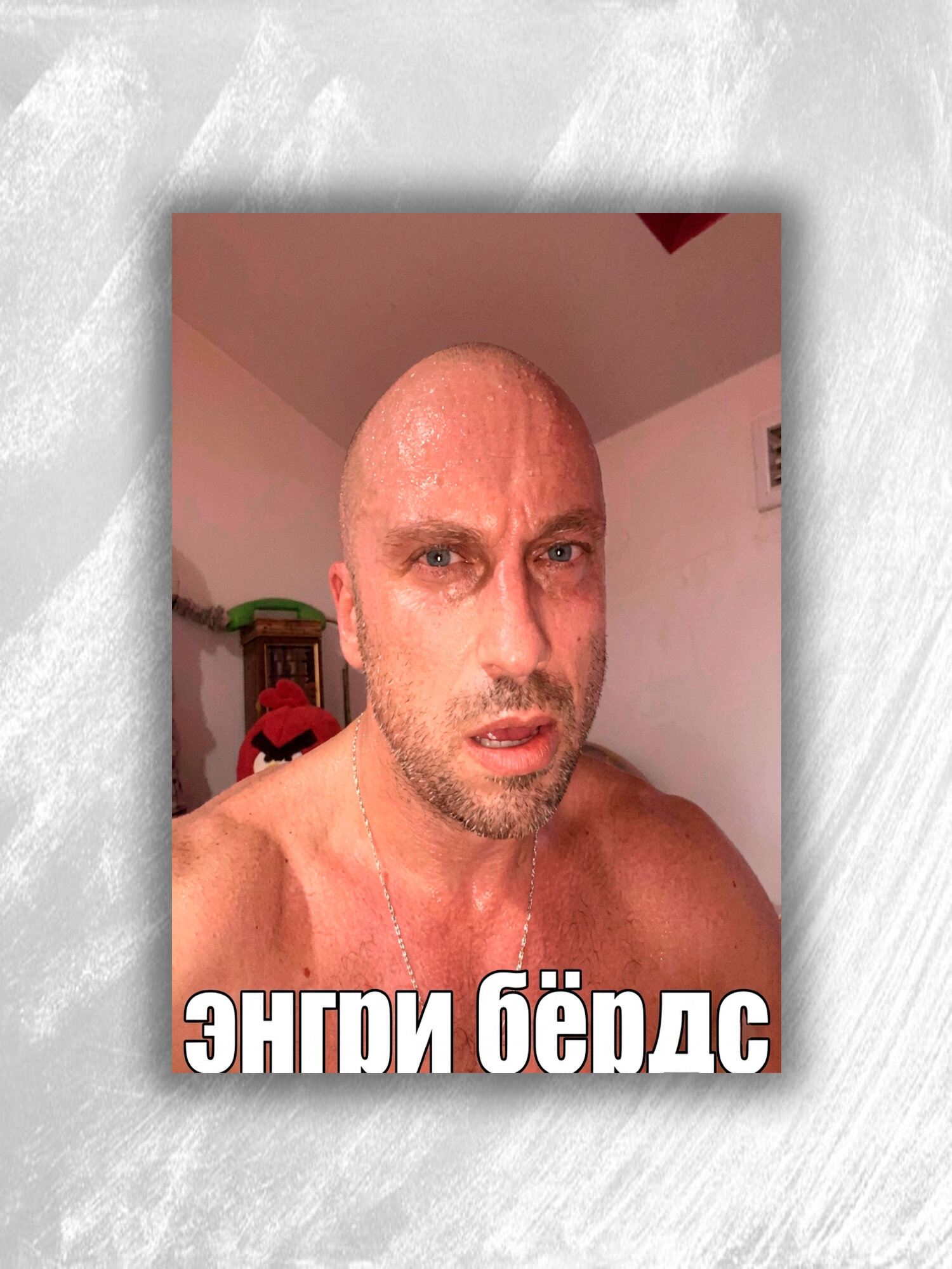 Плакат-мем "Энгри бёрдс" А4 (32 см х 23 см)