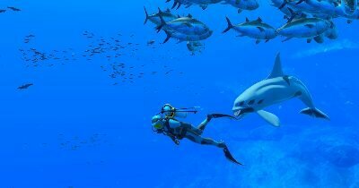Endless Ocean Luminous Nintendo Switch Online Аккаунт Activation