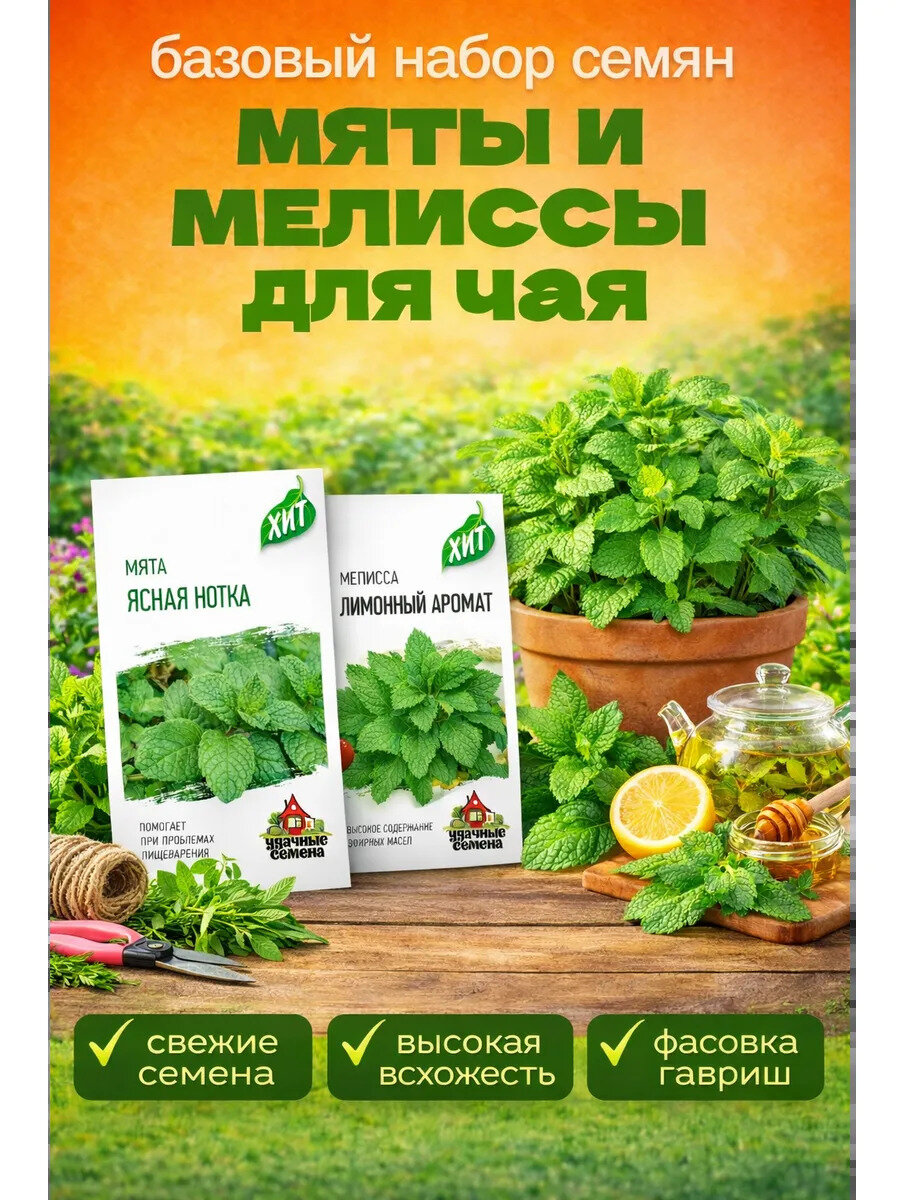 Мята мелисса семена трав для чая 2 пакета