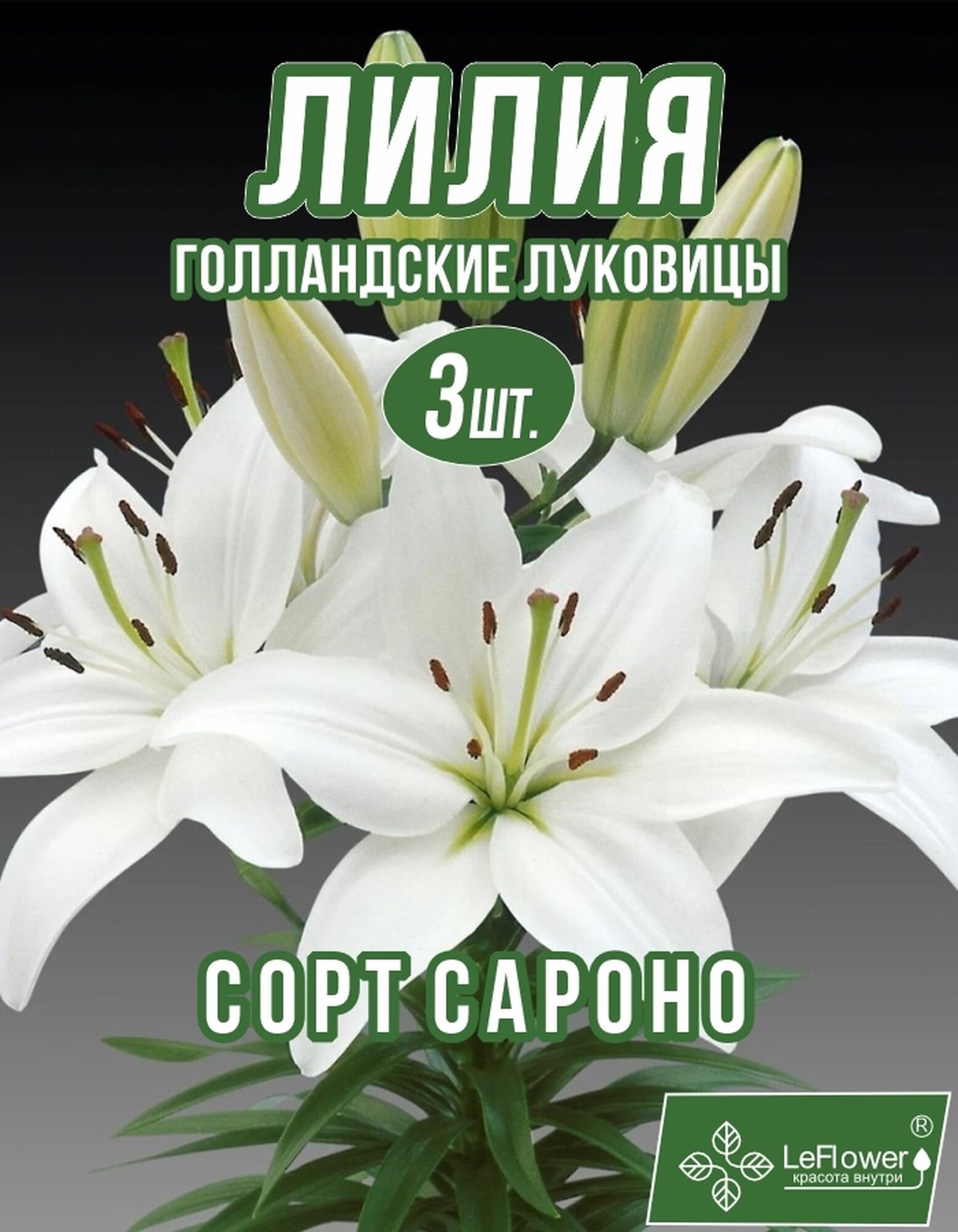 Лилия LeFlower Саронно, растение многолетнее, 3 луковицы в упаковке