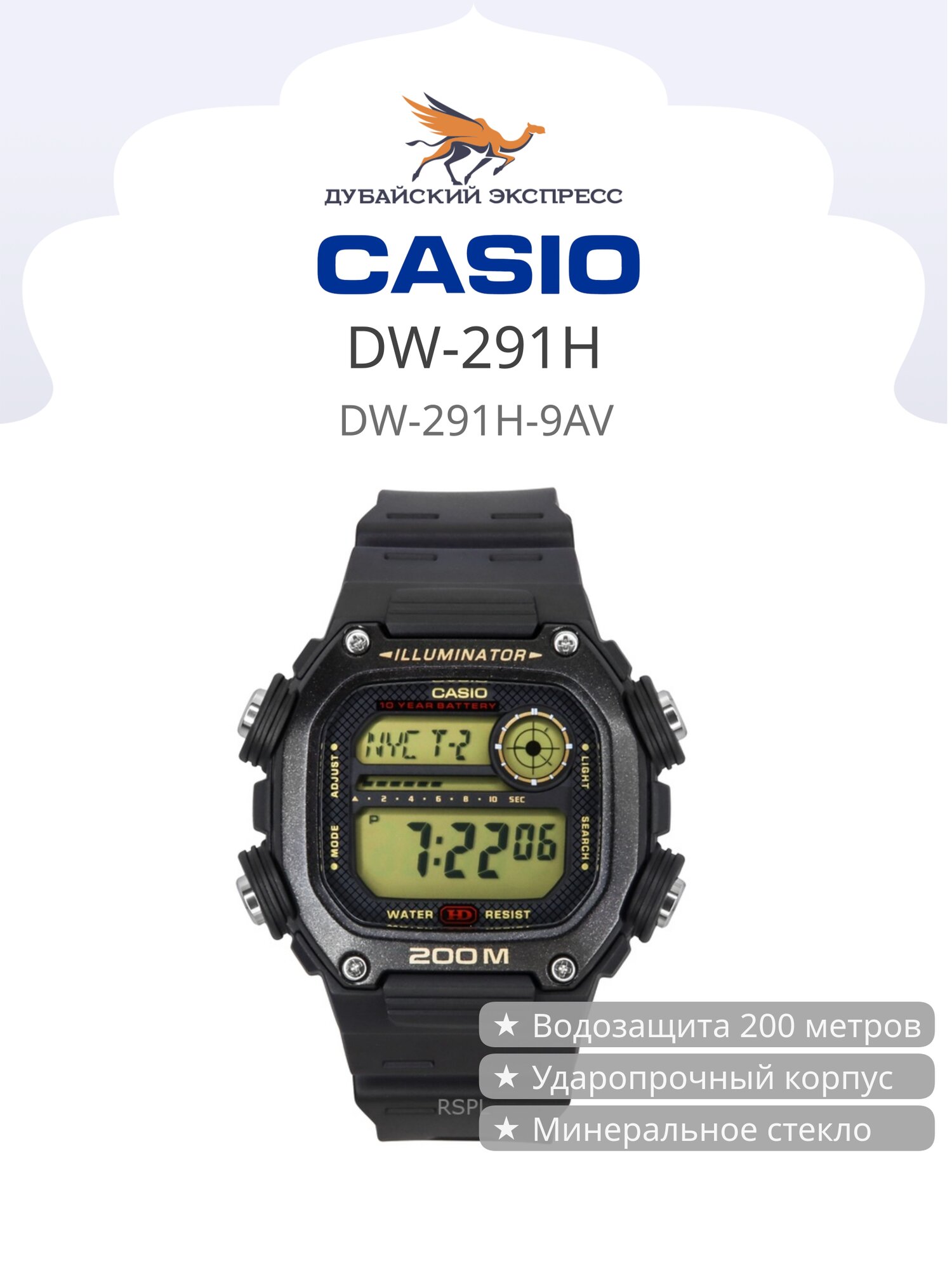  CASIO