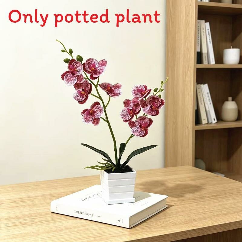 Butterfly orchid line art plant with lightweight plastic for home styling and event decoration stylee