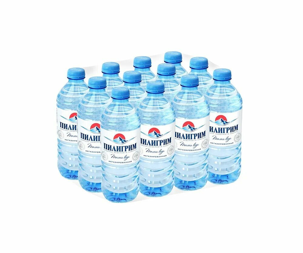 Вода негазированная Пилигрим минеральная природная, 12 шт х 0,5 л