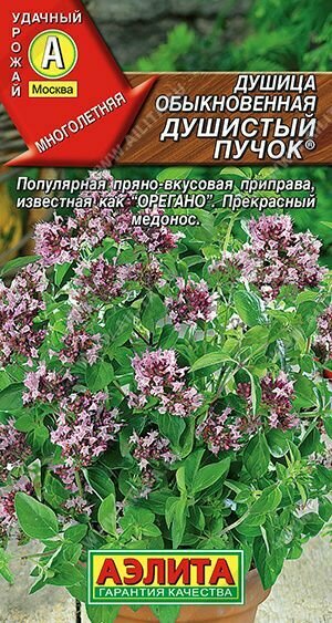 Семена Душица обыкновенная Душистый пучок , Агрофирма Аэлита пряность лекарственная для посадки
