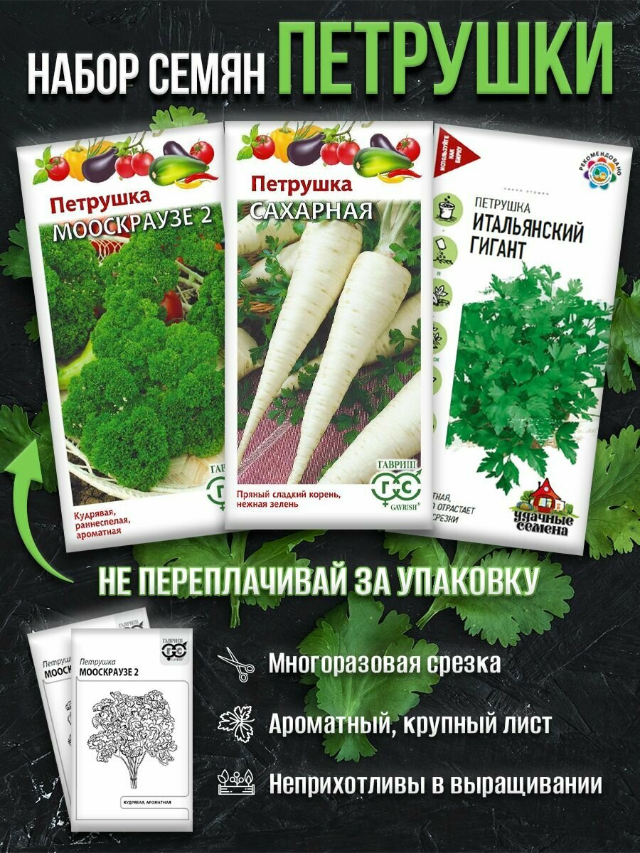 Петрушка семена для посадки , Москраузе 2, Итальянский гигант, Сахарная сорт петрушки для выращивания