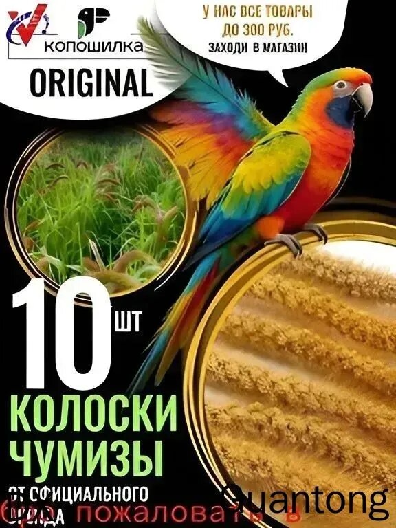 Чумиза для попугаев 10шт. сенегальское просо лакомство игрушка для птиц и грызунов , урожай 2025 года - копошилка бренд от производителя