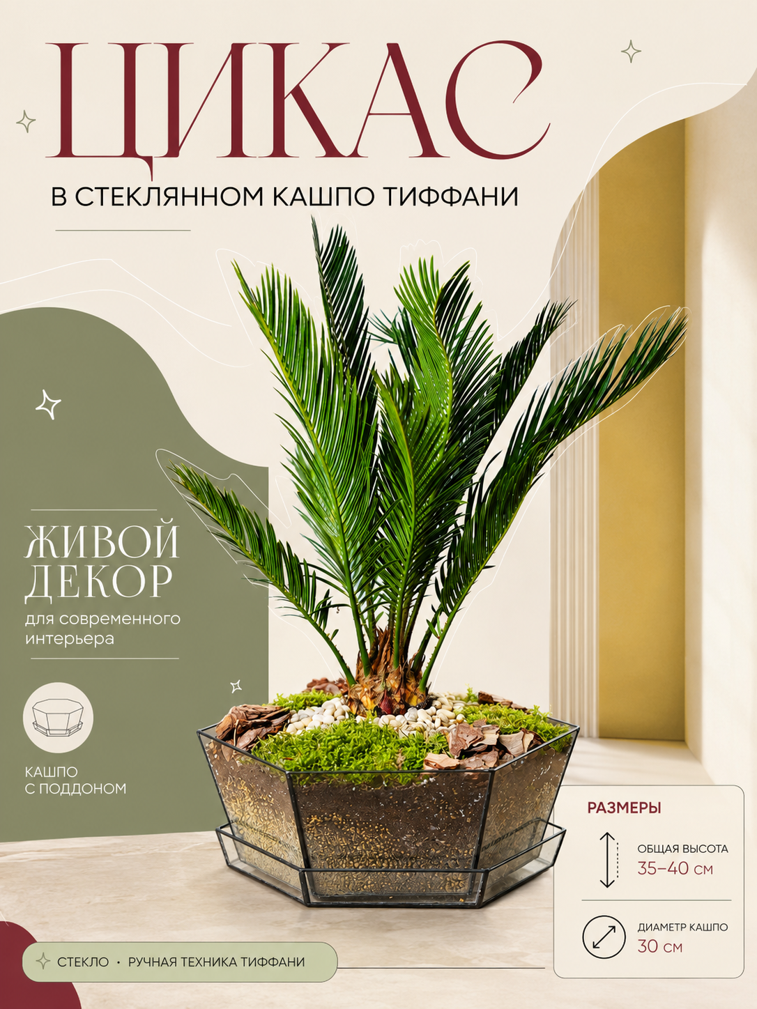 Geo Glass — Цикас в стеклянном кашпо Тиффани с поддоном, живое растение 35-40 см, диаметр кашпо 30 см, подарок для интерьера