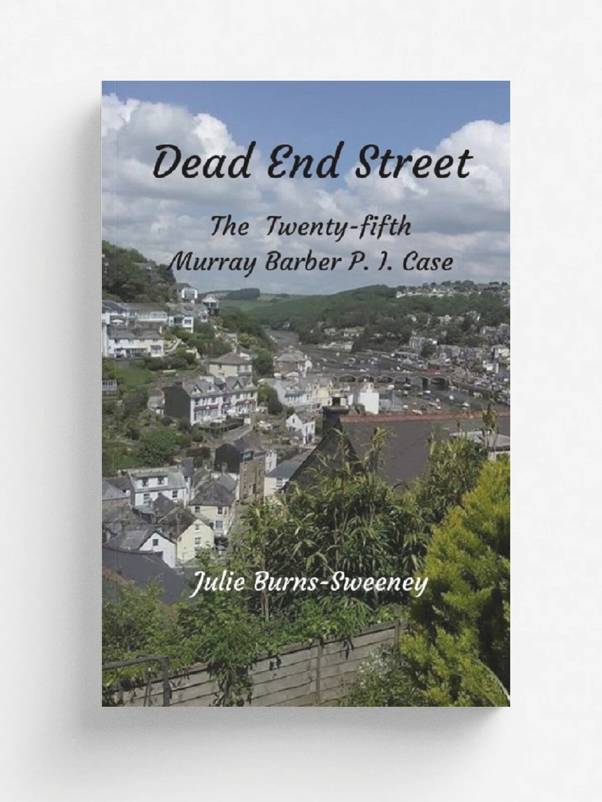 Dead End Street. The 25th Murray Barber P. I. Case