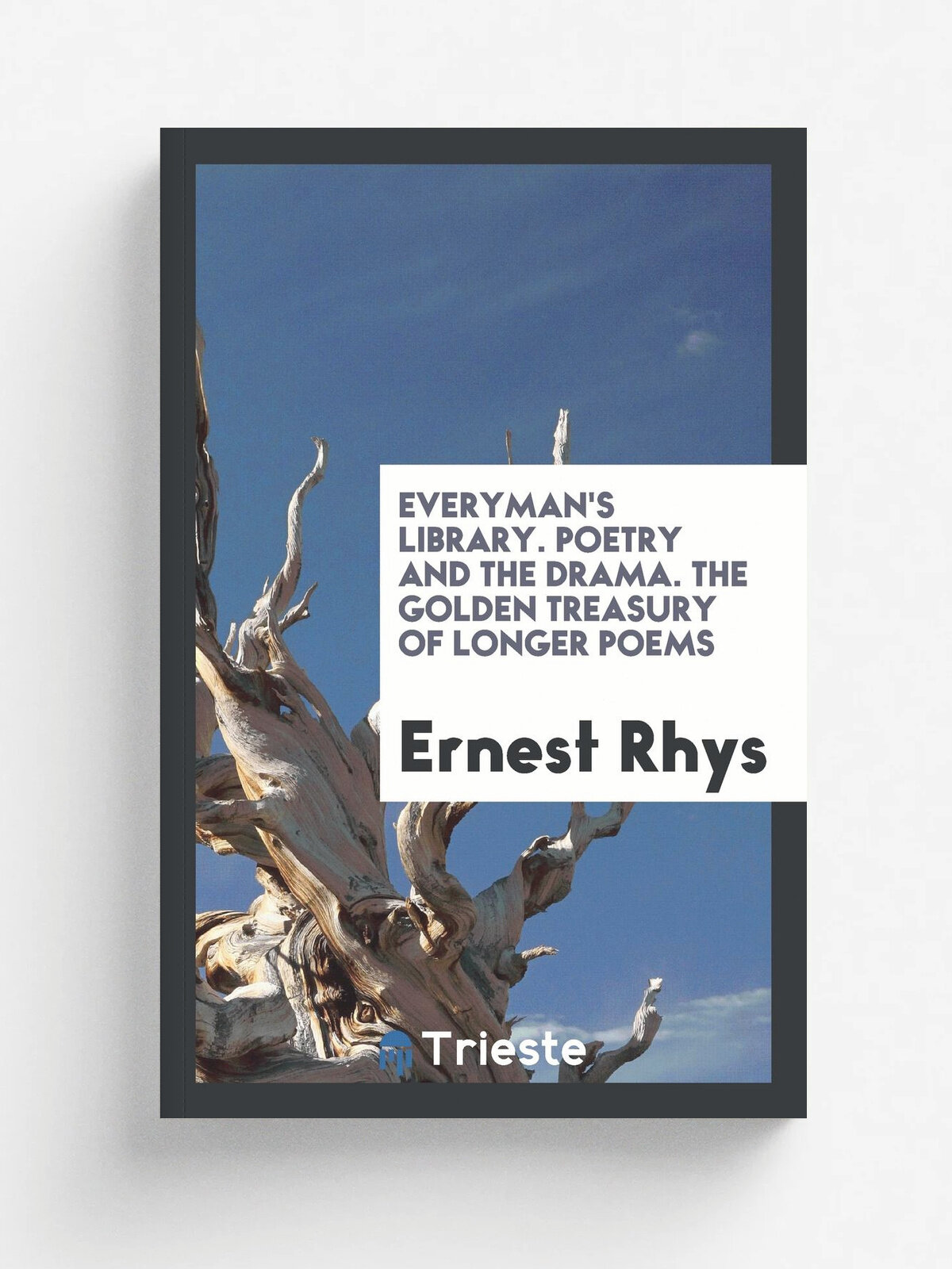 The golden treasury of longer poems, selected & ed