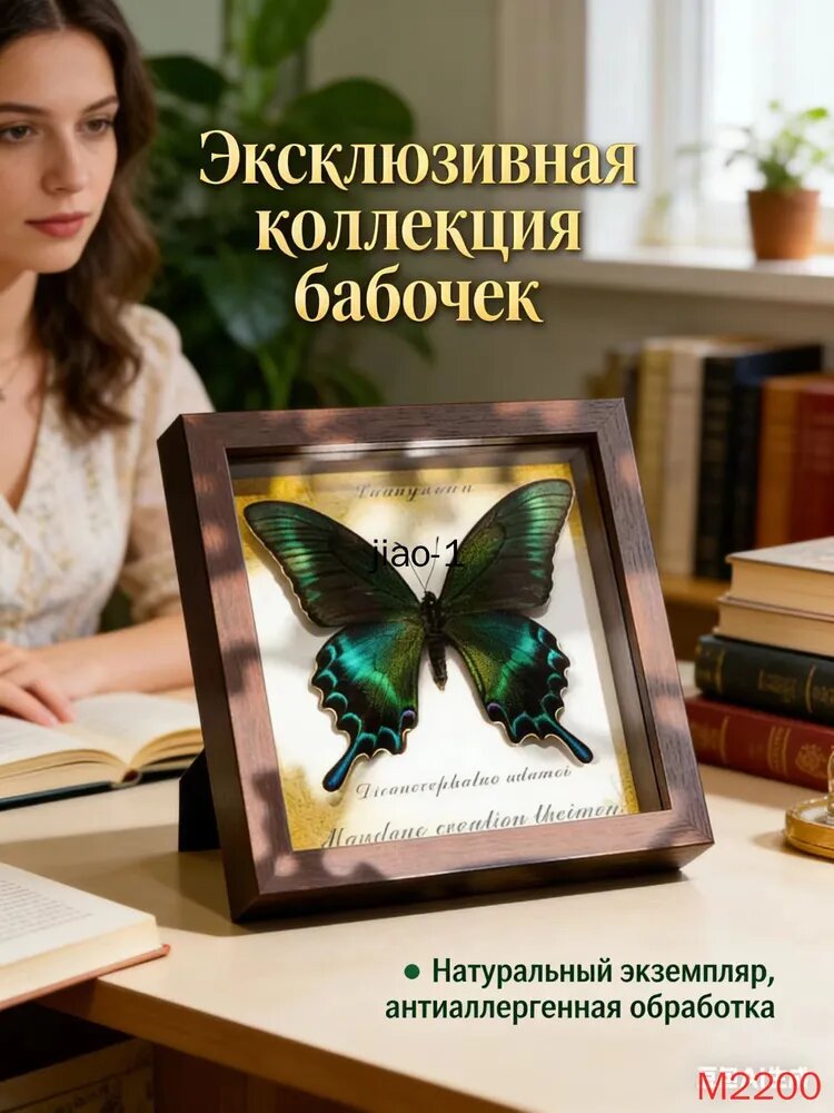 Чучело декоративное Настоящая бабочка в рамке