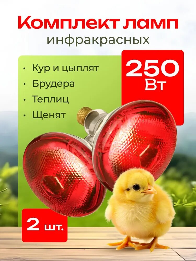Лампа инфракрасная 250Вт Е27 - 2 шт, для обогрева кур, щенков, цыплят, свиней, курятника, брудера/ Лампочка галогенная для животных, растений и теплиц