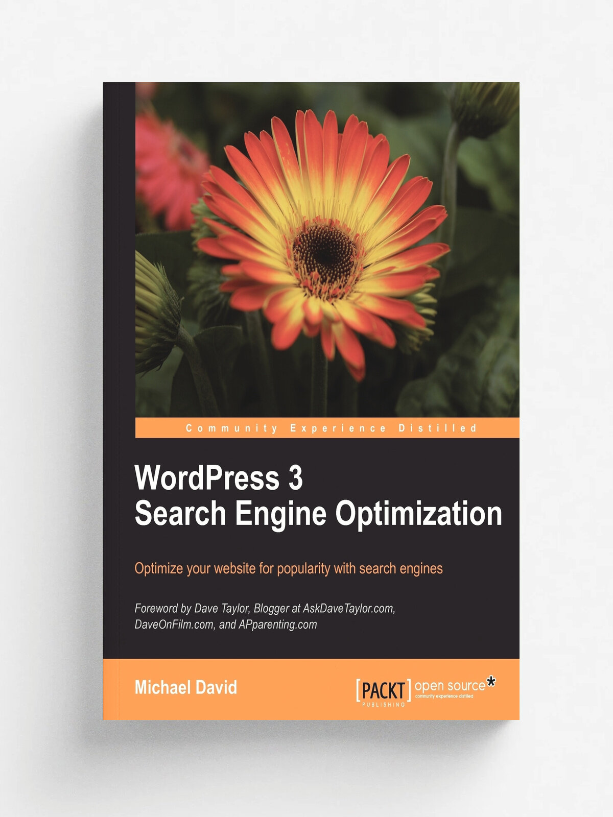 Wordpress 3.0 Search Engine Optimization