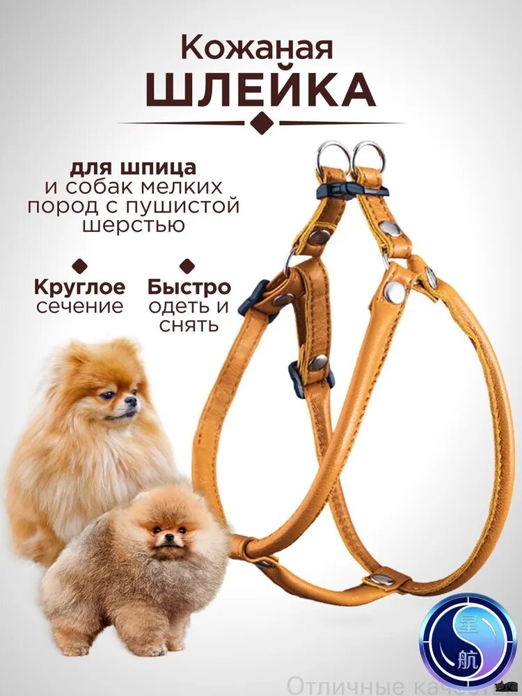 Кожаная шлейка для шпица горчичный цвет M