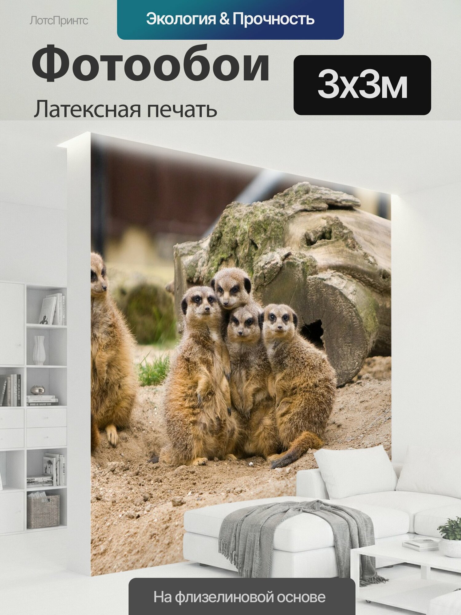 Фотообои моющиеся ударопрочные "Сурикат, сурикаты, семья" 300x300 см. латексная печать