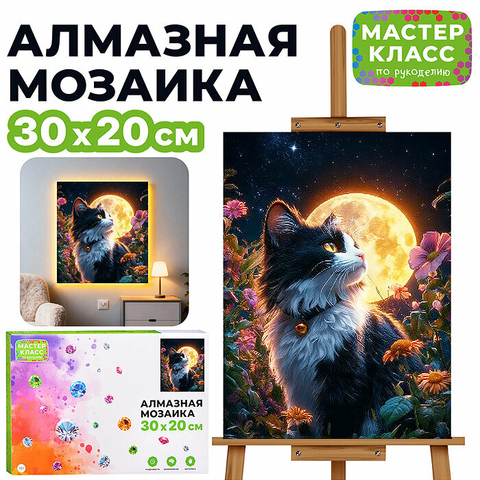 Мозаика алмазная MKA3020-216 "Черно-белый котик" (светится в темноте) 30*20 см.