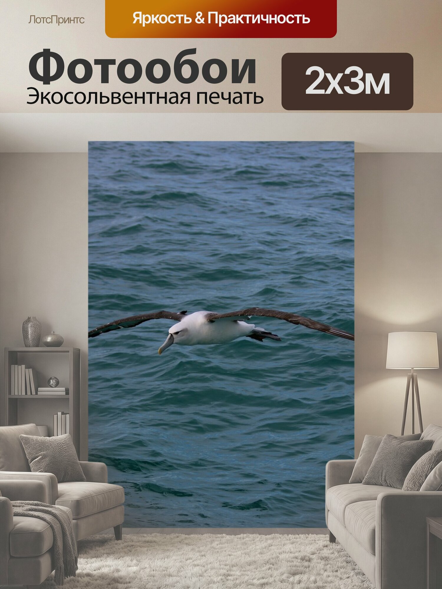 Фотообои "Королевский альбатрос новой зеландии, море, птица" 200x300 см. экосольвентная печать