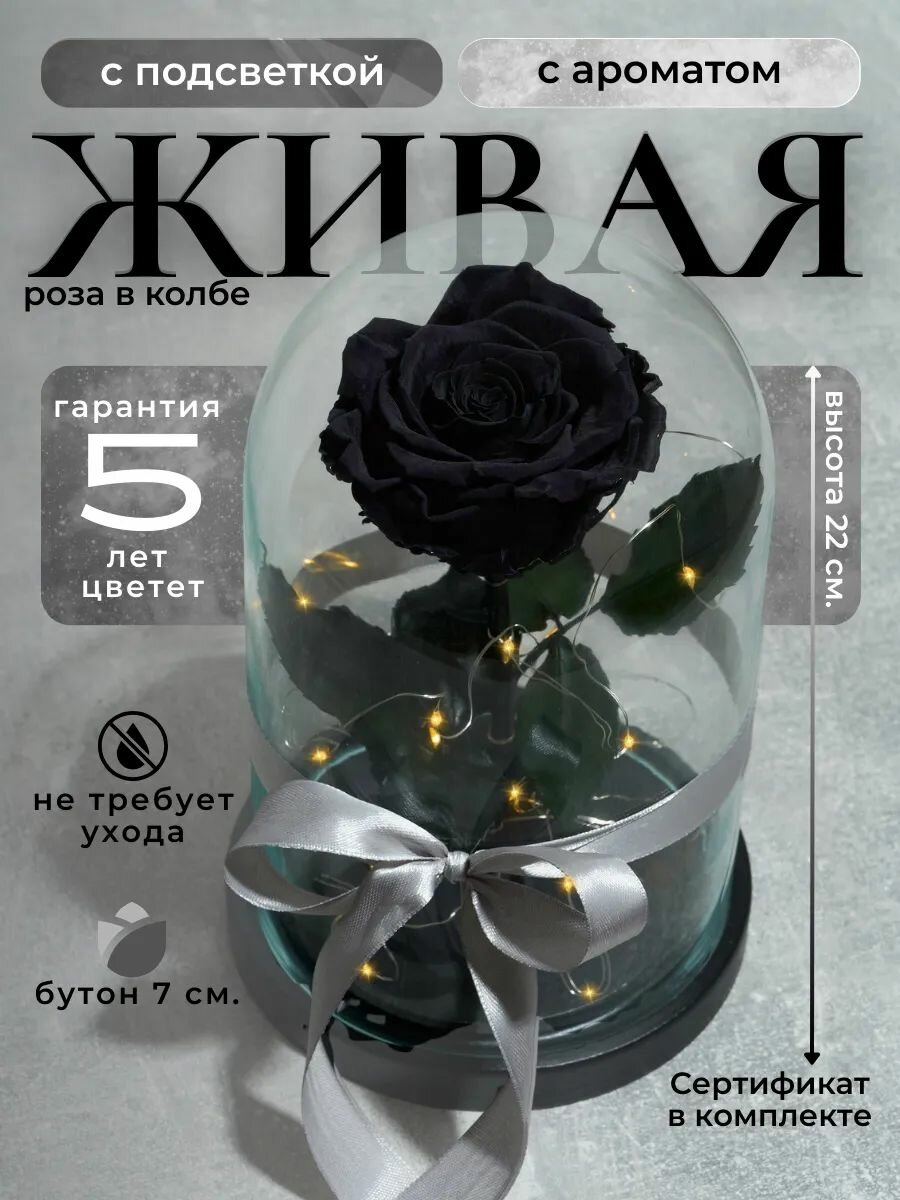 Живая роза в колбе / идеальный подарок женщине