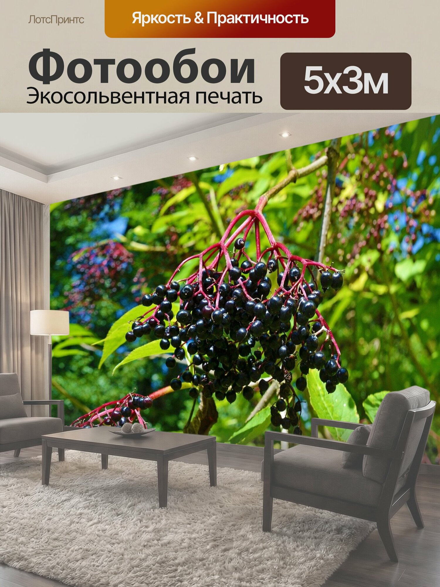 Фотообои "Старейшина, бузина, самбук черный" 500x300 см. экосольвентная печать