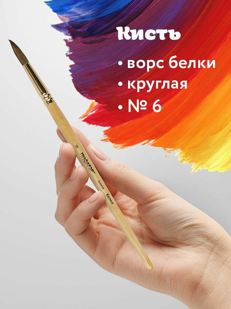 Кисть Пифагор, белка, круглая, № 6, деревянная лакированная ручка, с колпачком, пакет с подвесом для рисования художественная круглая белка