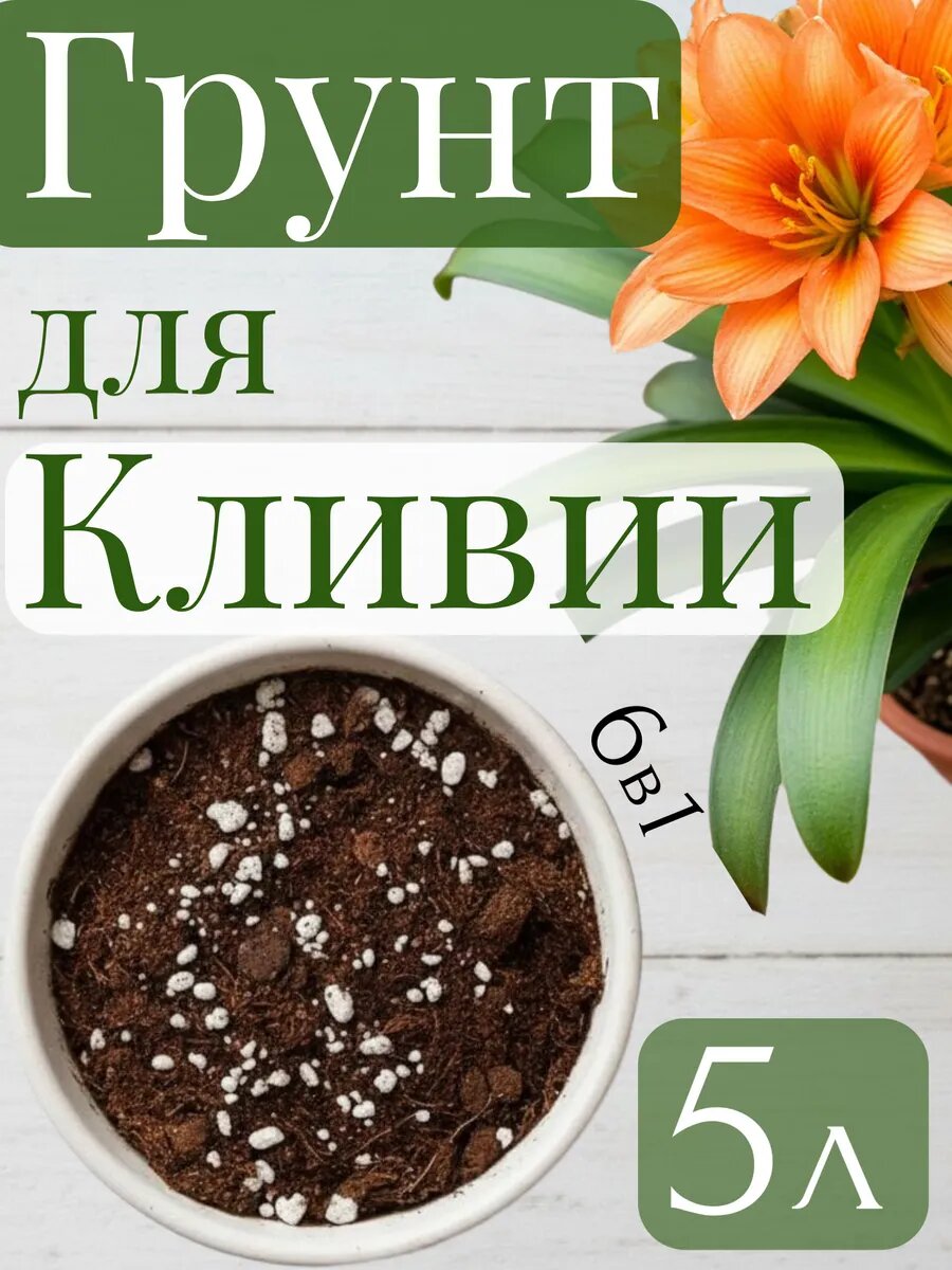 Готовый грунт для Кливии 5 литров