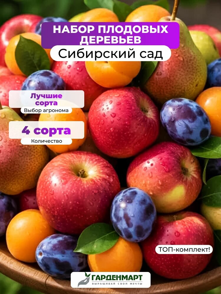 Саженец Комплект плодовых деревьев "Сибирский сад" из 4 сортов