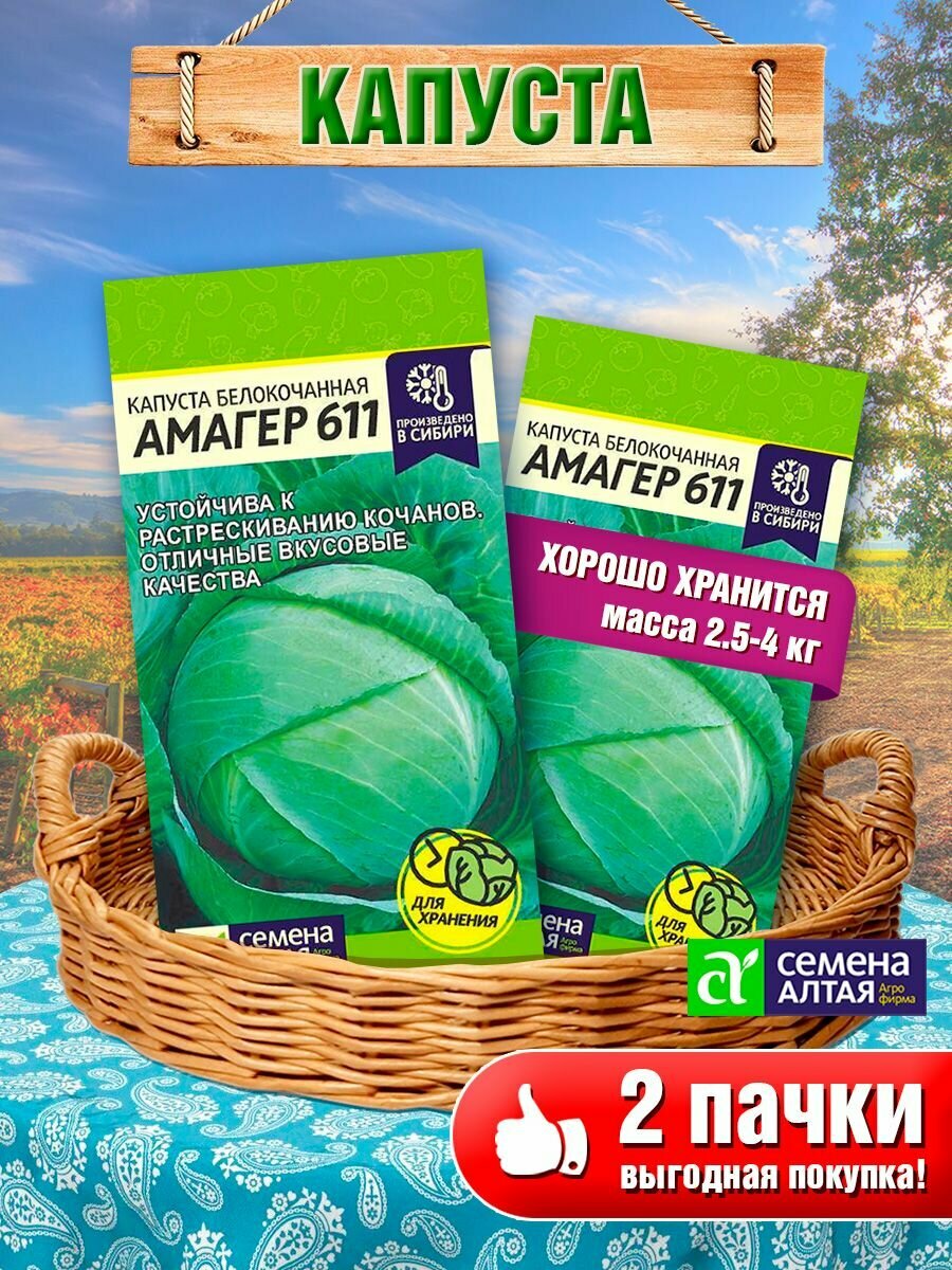 Семена капусты белокочанной Амагер 611 от компании Семена Алтая (2 пачки)