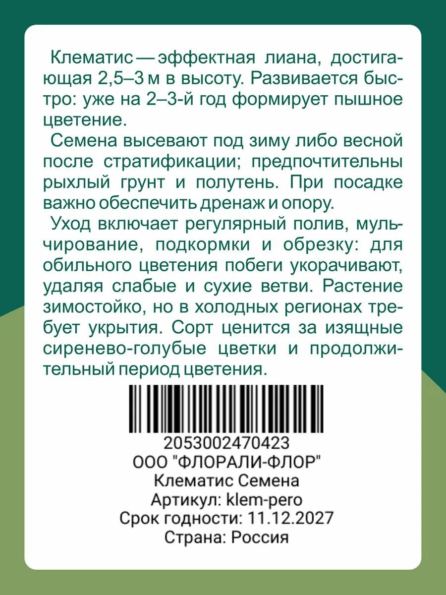 Клематис Семена — фото 1